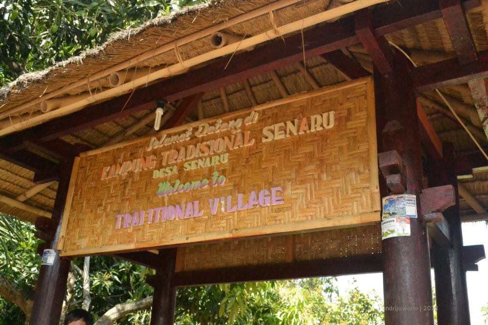 desa tradisional senaru, kunjungan pasca rinjani – tindak tanduk arsitek