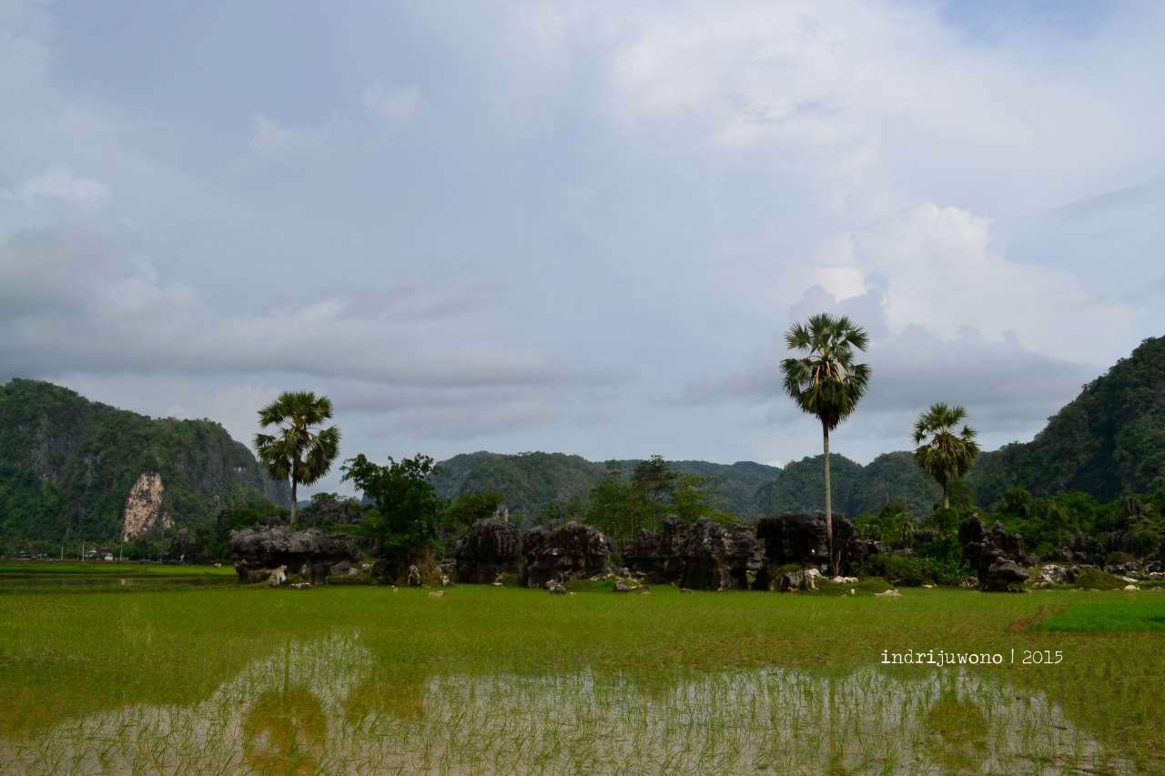 rammang-rammang : berdialog dengan batu – tindak tanduk arsitek