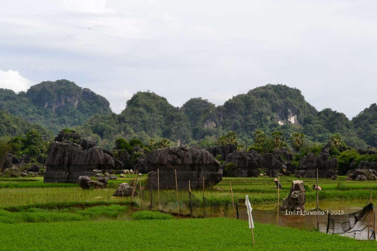 rammang-rammang : berdialog dengan batu – tindak tanduk arsitek